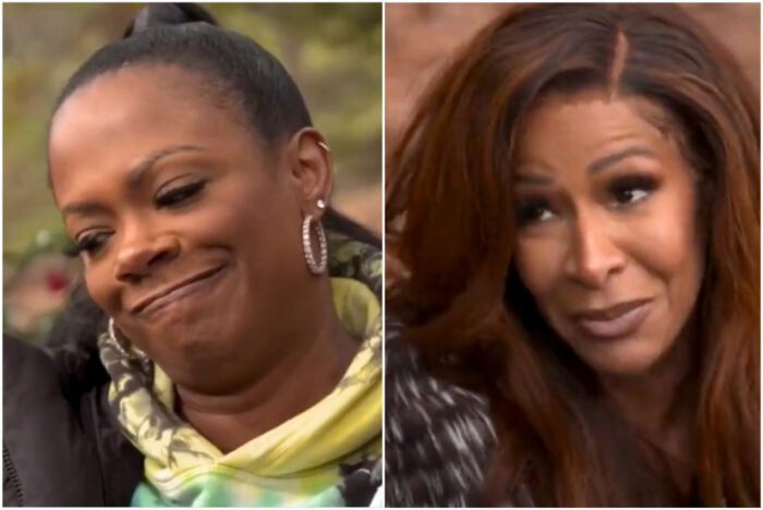 Twitter Cackles At Kandi Burruss Saying 'She By Shein' To Shereé ...